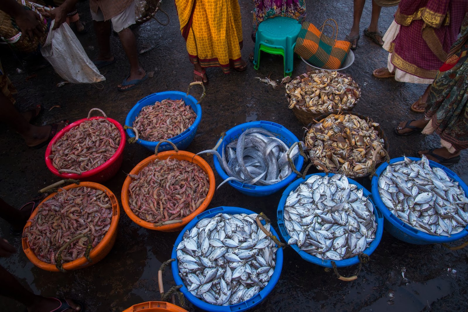 Press Photography and Photo Journalism: Kasimedu