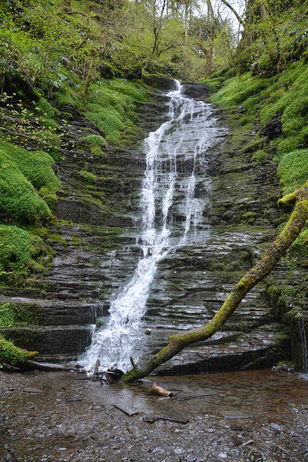 Highest Points: 90 - Great Rhos - Radnorshire - 23rd-25th April 2014
