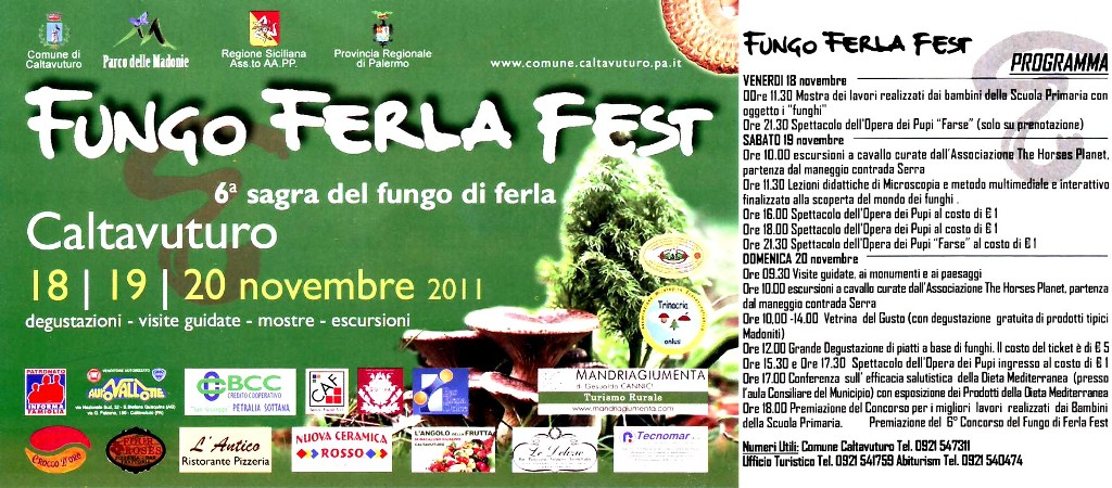 TerraNovaCaltavuturo: 2011