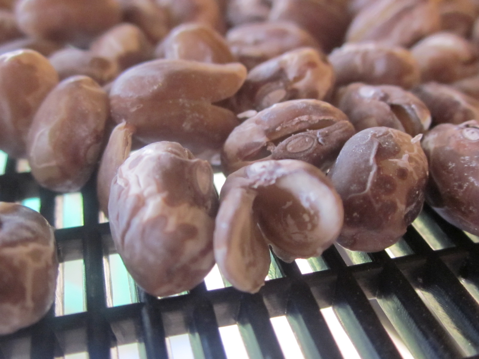 Chef Tess Bakeresse: Homemade Instant Beans and using The Heat ...