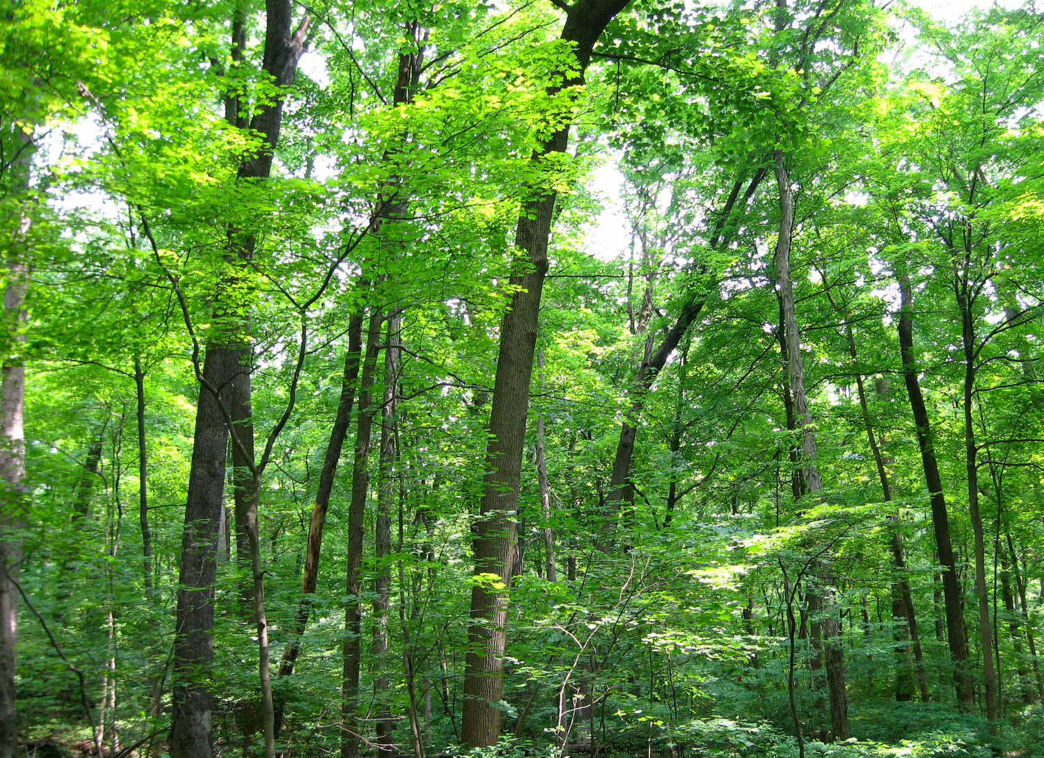 Let It Shine: Perkiomen Trail from Central Perkiomen Valley Park