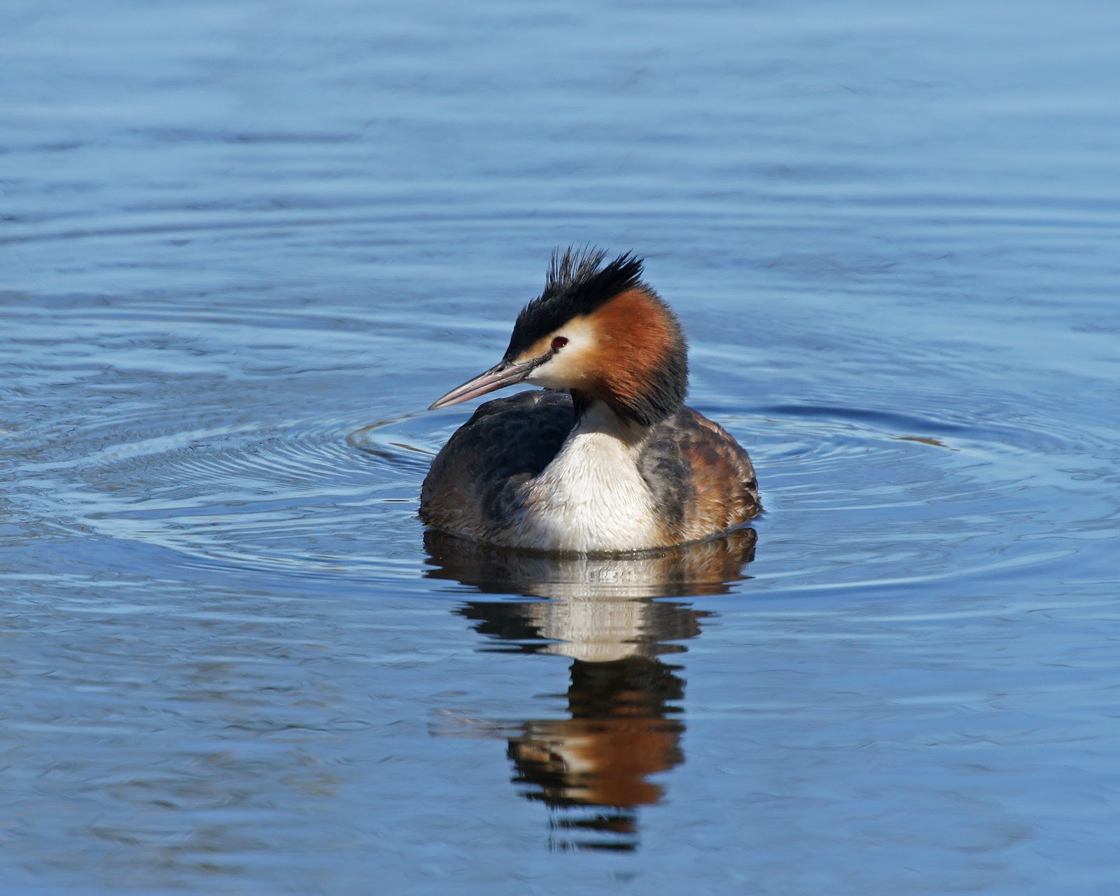 De wereld door mijn lenzen: Bijzondere ontmoetingen