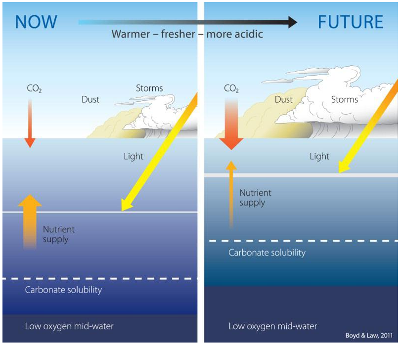 The Aquaculturists: 07/12/2017: Warming ocean to alter ecosystems and ...