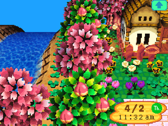 Animal Crossing: 🌱 Animal Crossing: Wild World 🌱