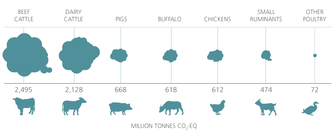A single cow, bull, or steer produces more CO2 per year than a Ferrari