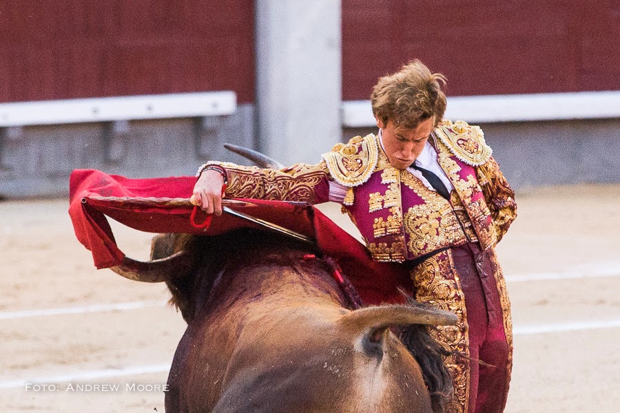Del toro al infinito: 3ª "SAN ISIDRO: ROMÁN TIENE FUTURO / Por Domingo ...