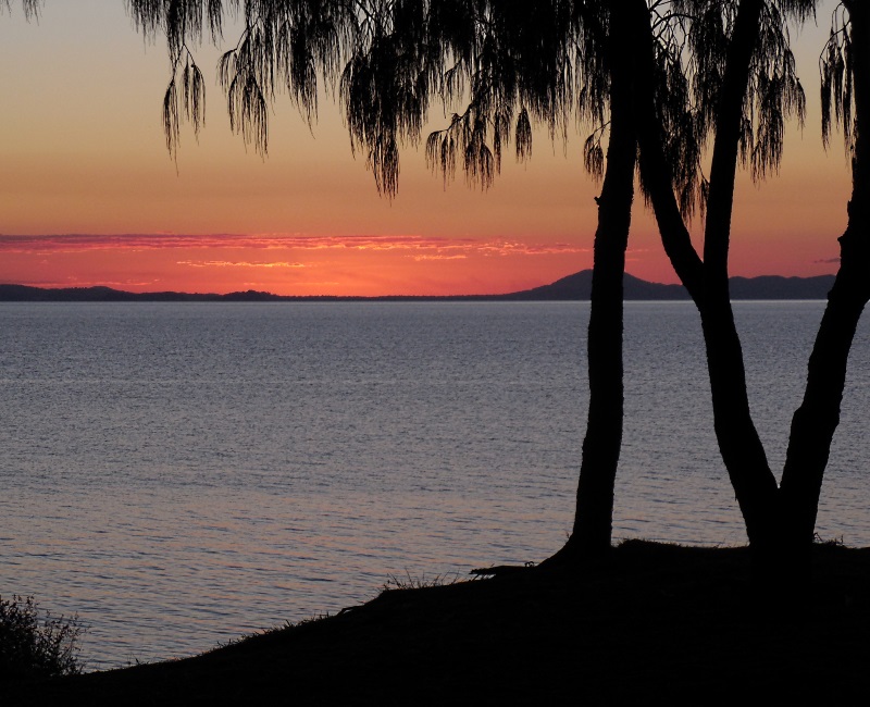 The Conspiracy Times: Whales, Dugongs, Sea Eagles and Caves: Keppel Islands