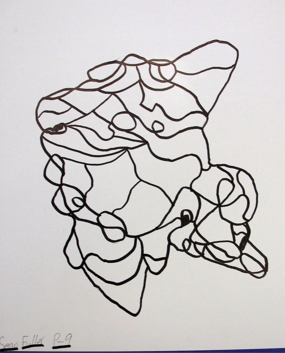 The David Lubin Art Studio: Take a line for a Walk Part I