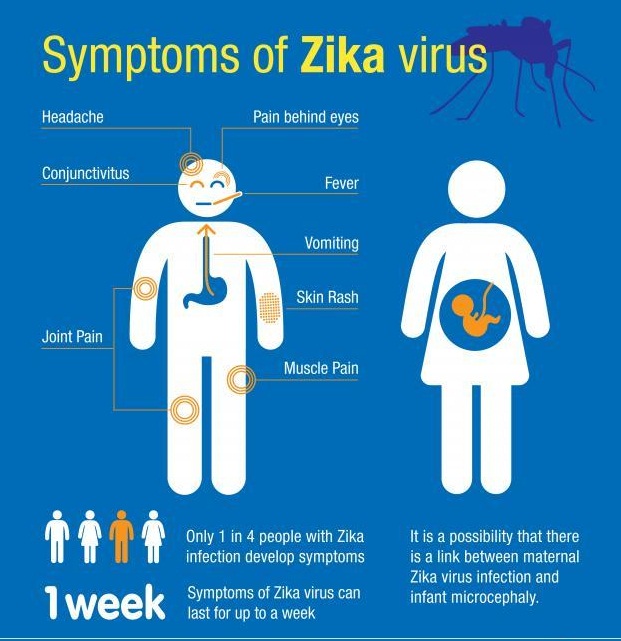 ZICA Virus - Think Masala