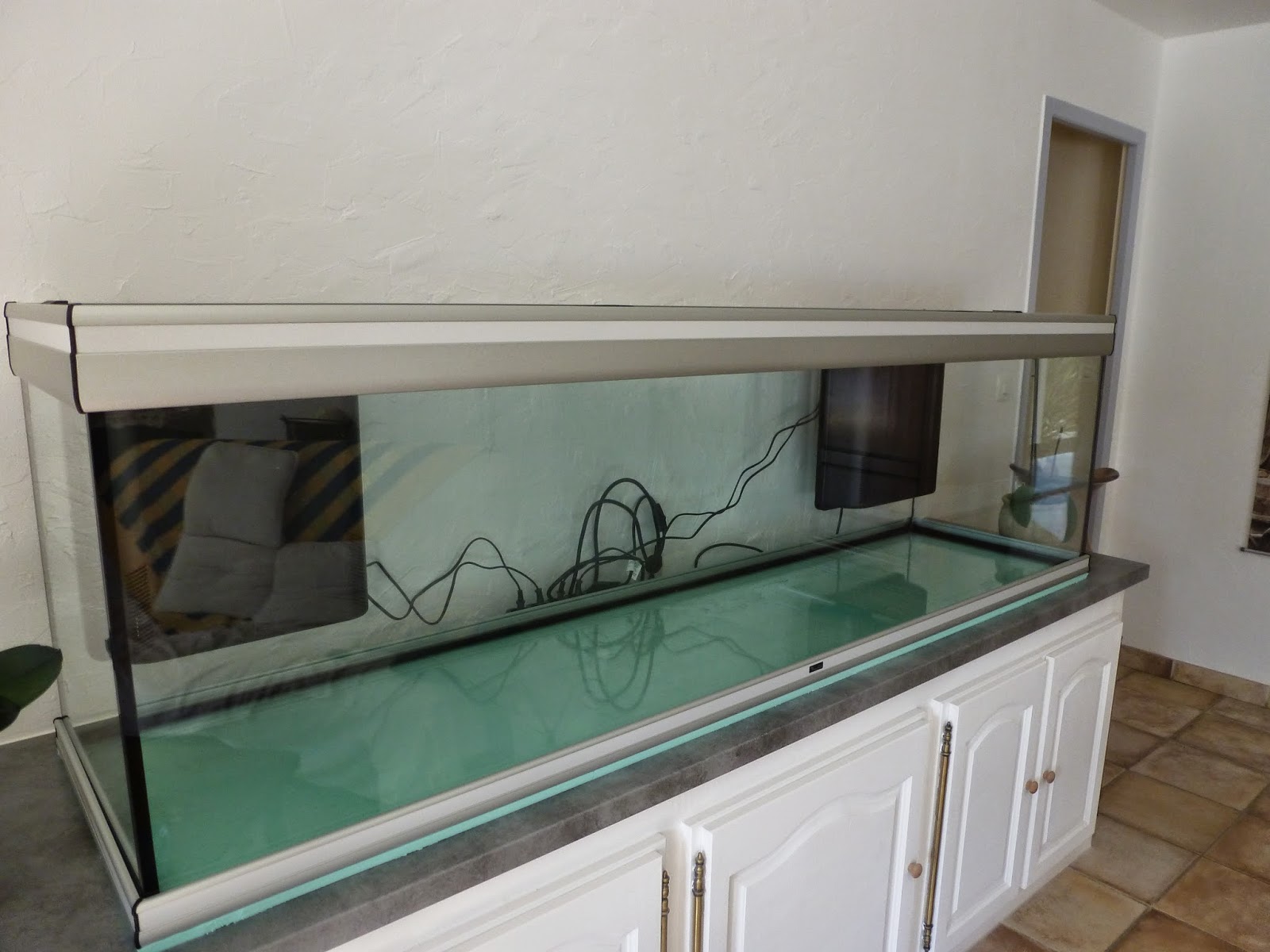 Bloop, une passion nommée poissons...: Arrivée et mise en place du bac