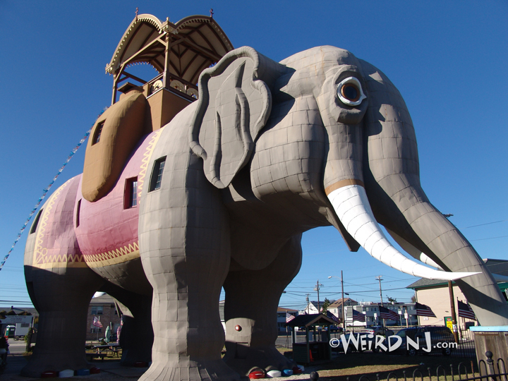 Malomil: Agora, sim, a casa-elefante.