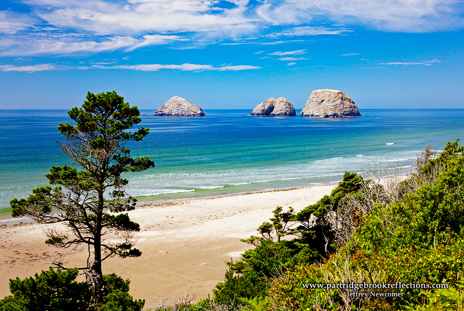 Getting it Right in the Digital Camera : Photography on the Oregon Coast