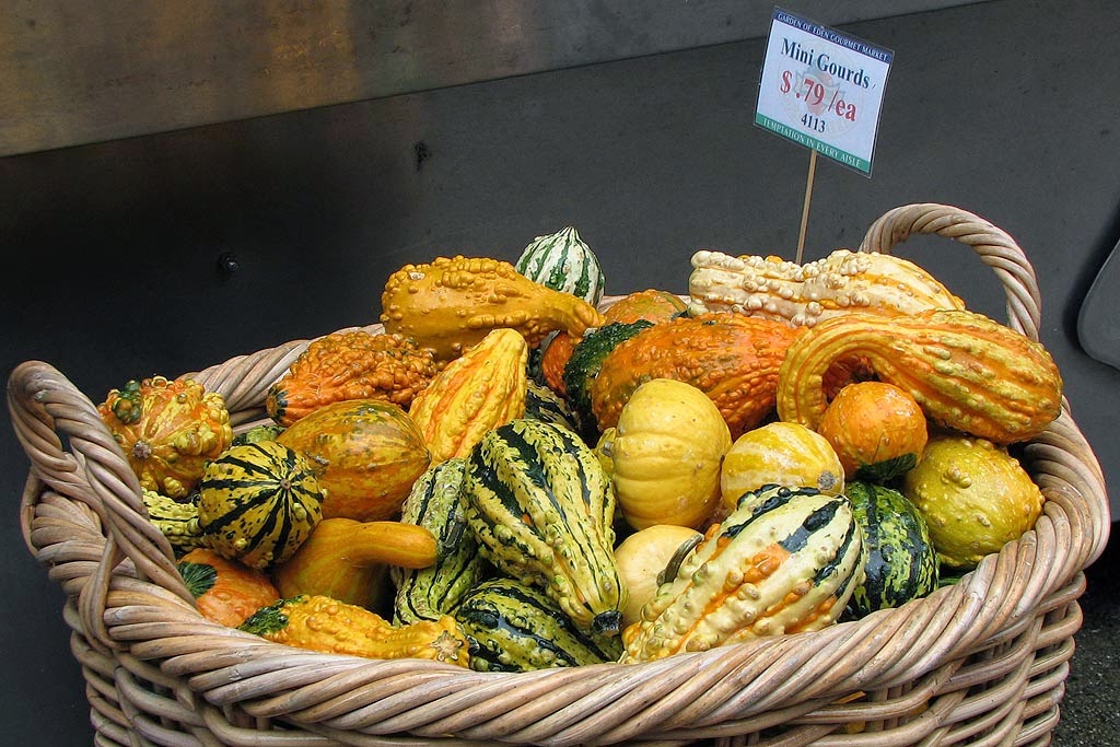 Daily Photo Stream: Mini Gourds