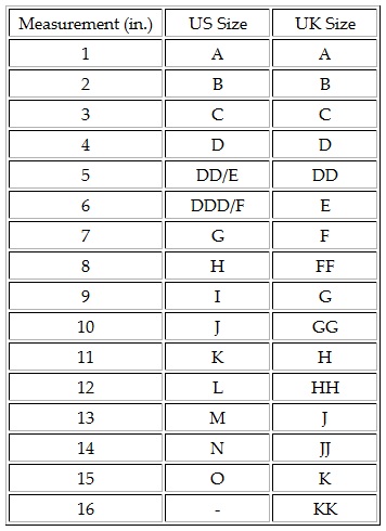 The Life of Miss Kneesh: Bra Fitting 101, Part 3