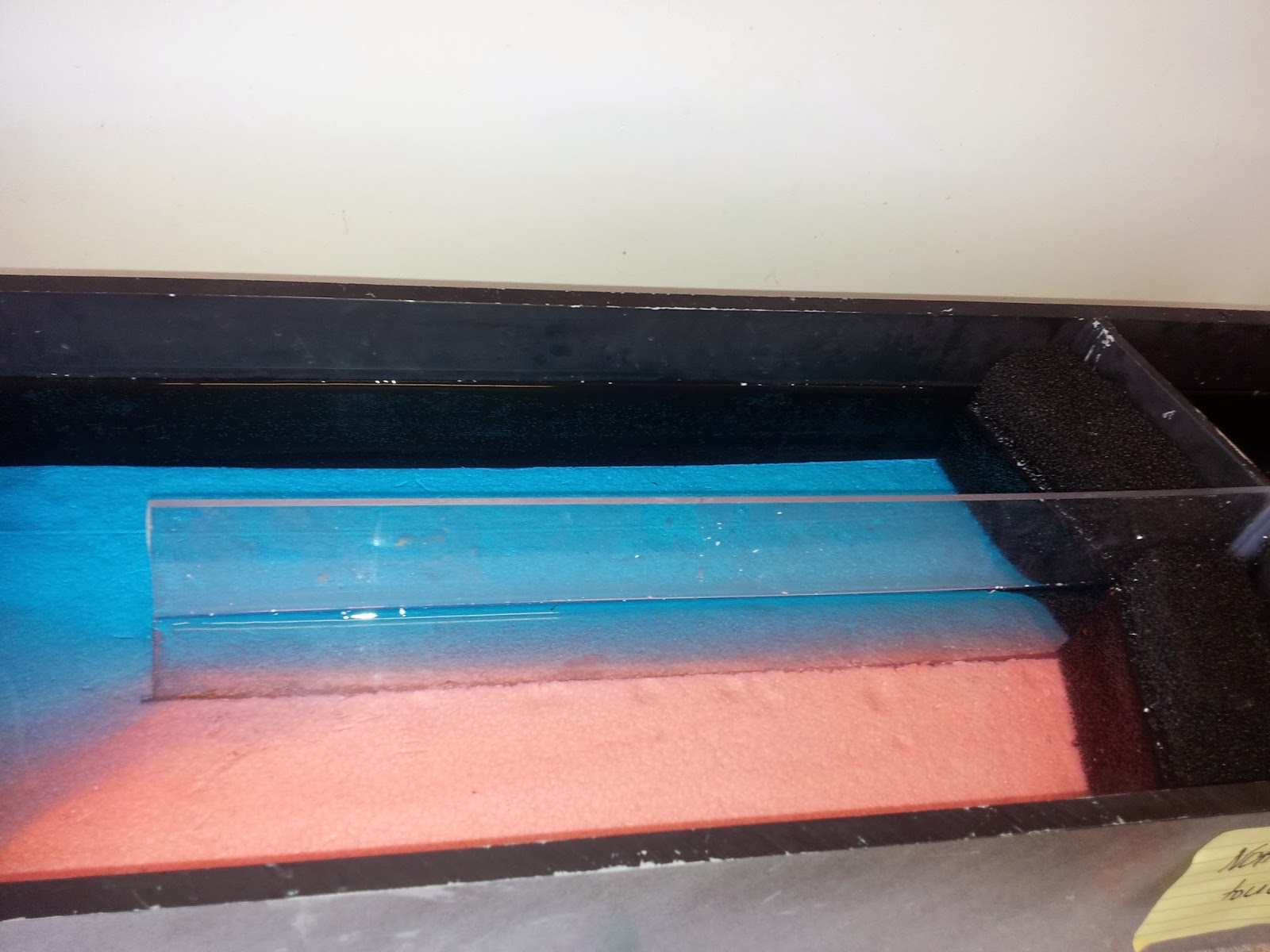 Teaching Science Better: Choice Chamber Experiment