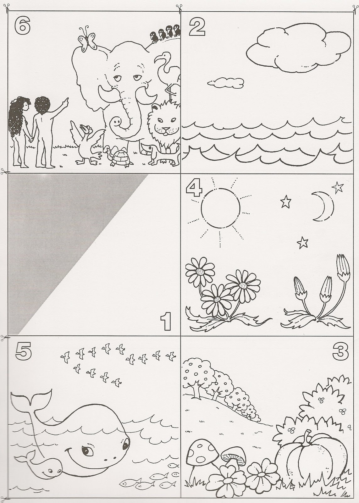 Creacion De Dios Para Ninos 8 De Enero – ¿Cuánto Sabes De