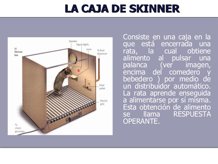 CONDICIONAMIENTO OPERANTE ~ Psicología del Aprendizaje