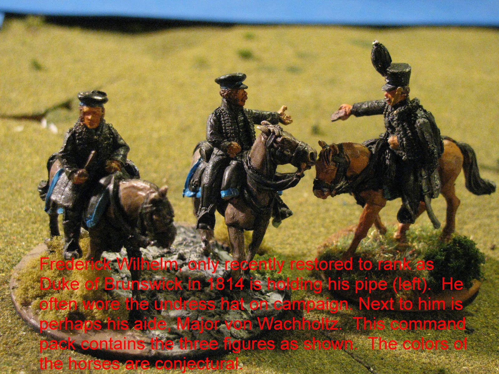 Brunswick 1815 the Artilery and Officers