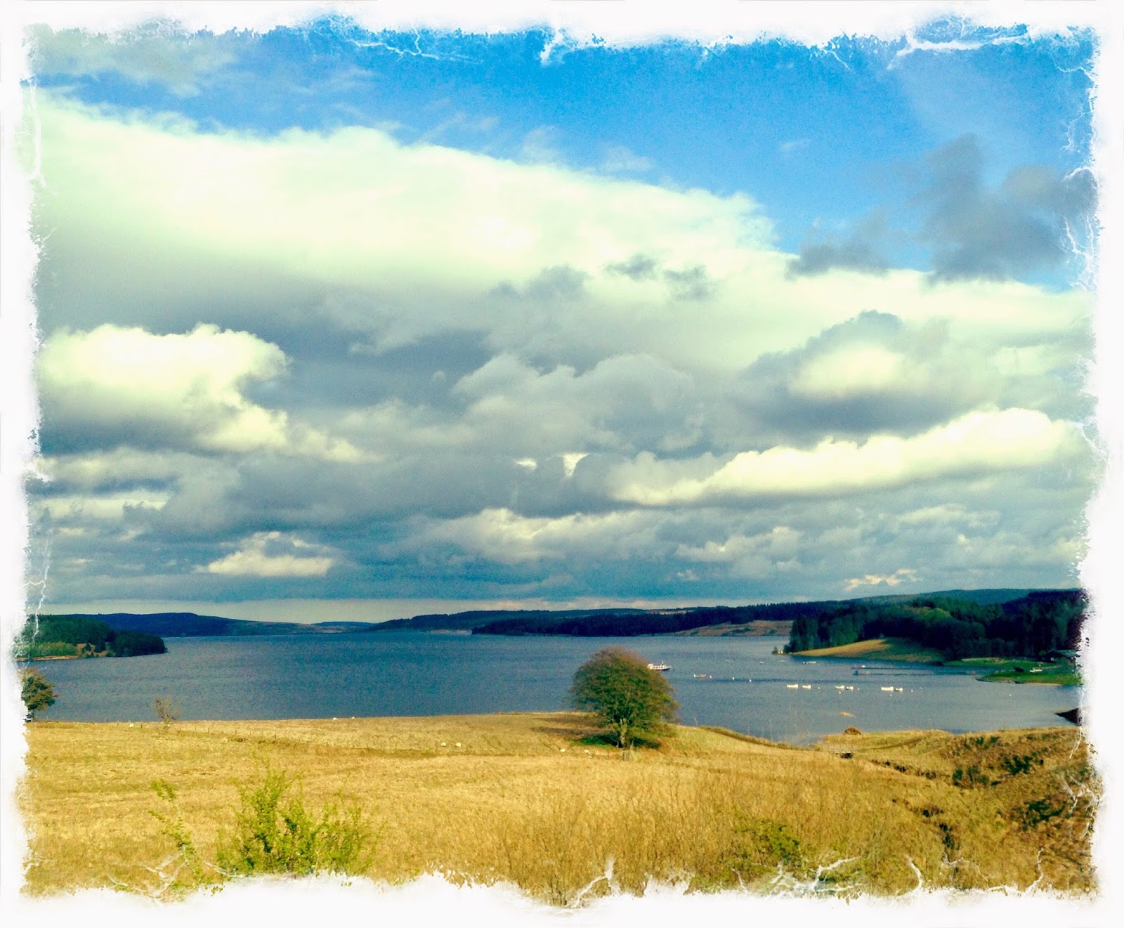 Kielder Village | North East Family Fun