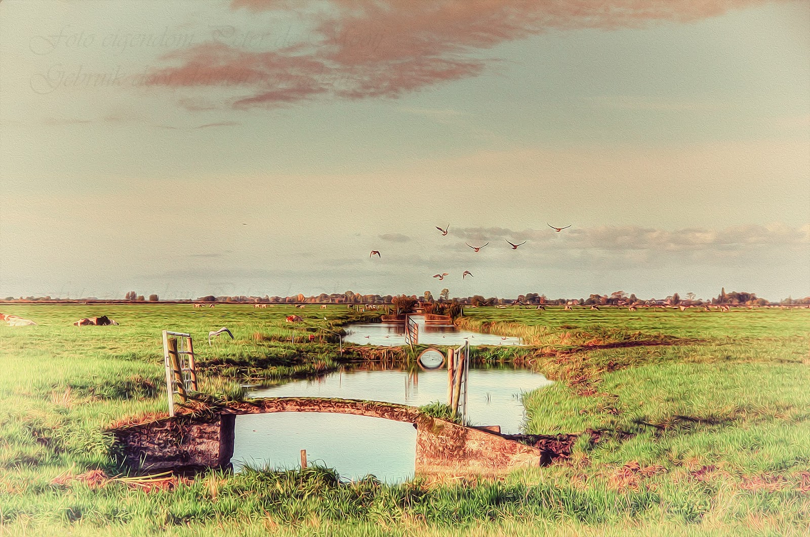 De Alblasserwaard: Herfst in de Alblasserwaard