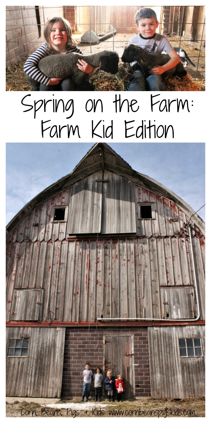 Corn, Beans, Pigs and Kids: Spring on the Farm: Farm Kid Edition