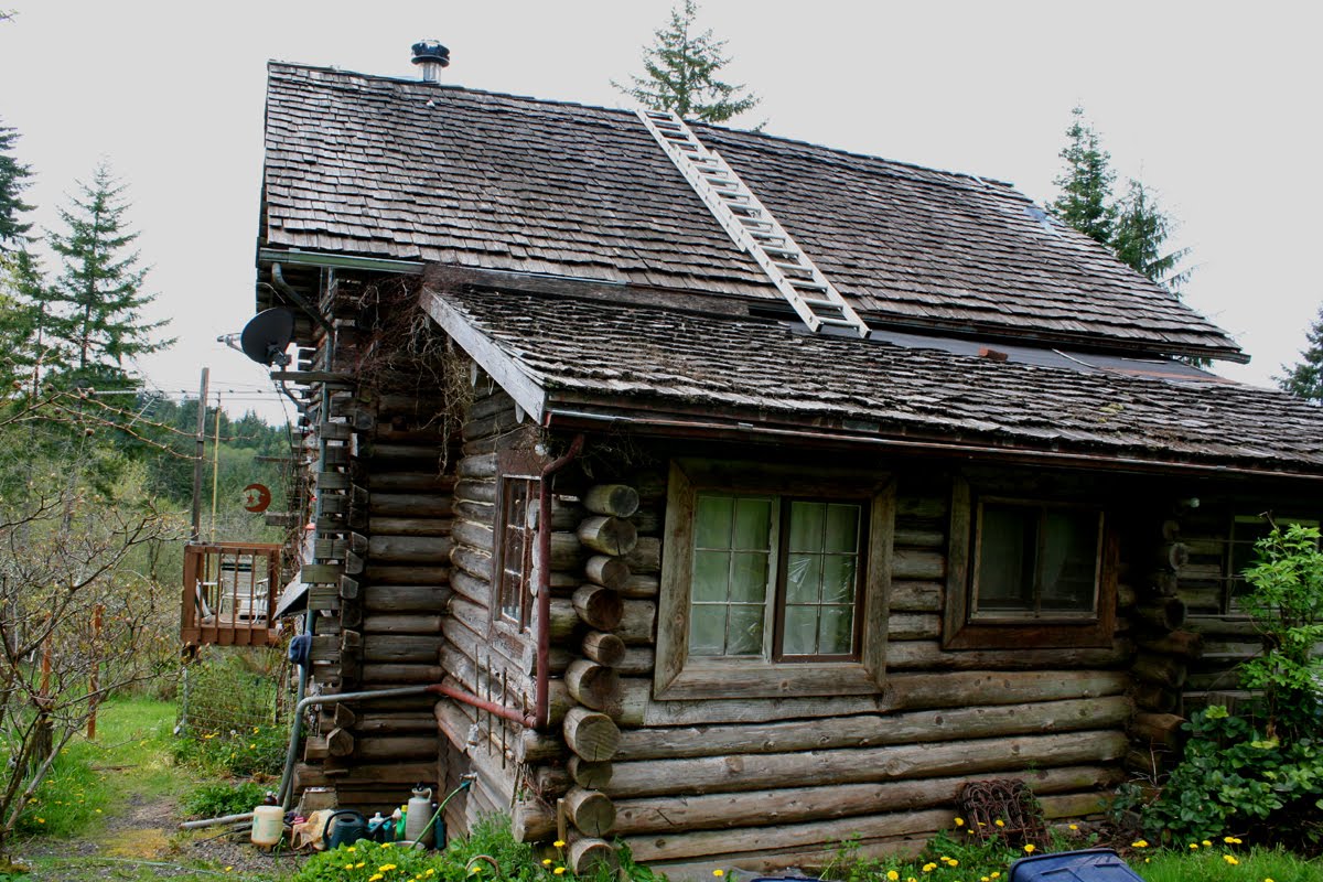 BOHEMIAN adventures: The Crackerbox Palace