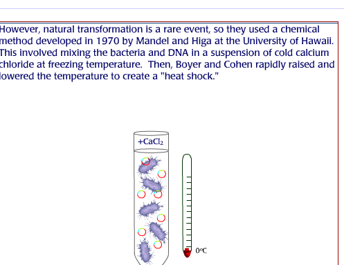 Straining Forward: AP bio: Bacterial Transformation and Transduction