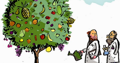 ALIMENTOS TRANSGÉNICOS | licenciatura basica