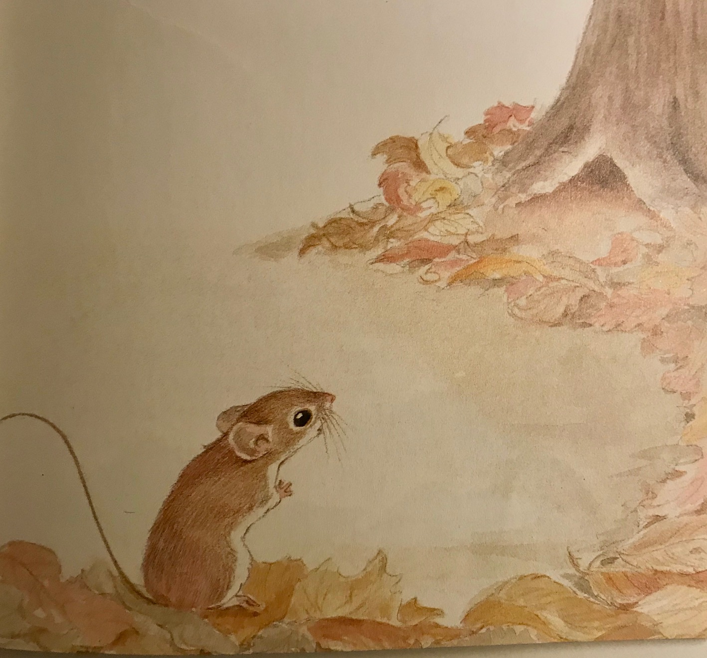Everything Children's Literature: Mousekin's Thanksgiving