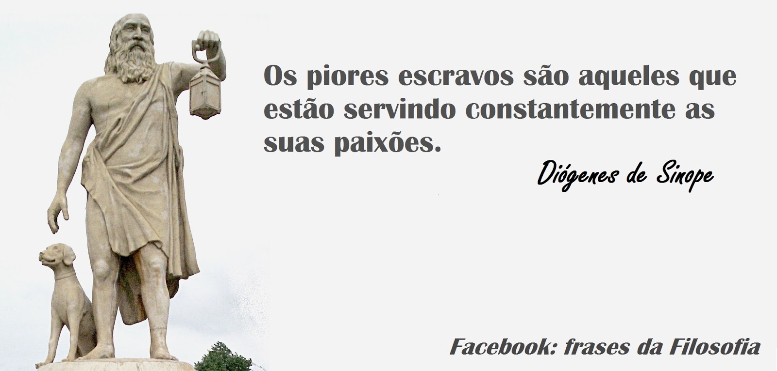 Frases da Filosofia: Diógenes de Sinope