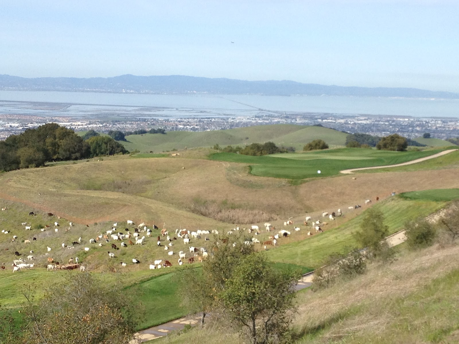 TPC Stonebrae Maintenance