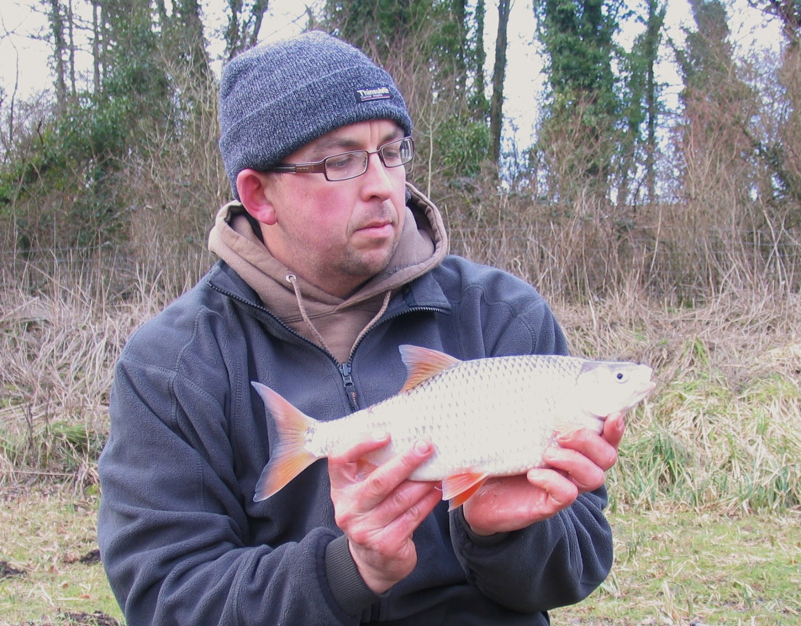 A Specialist Anglers Diary: Bolt rig for roach - the two pound dream