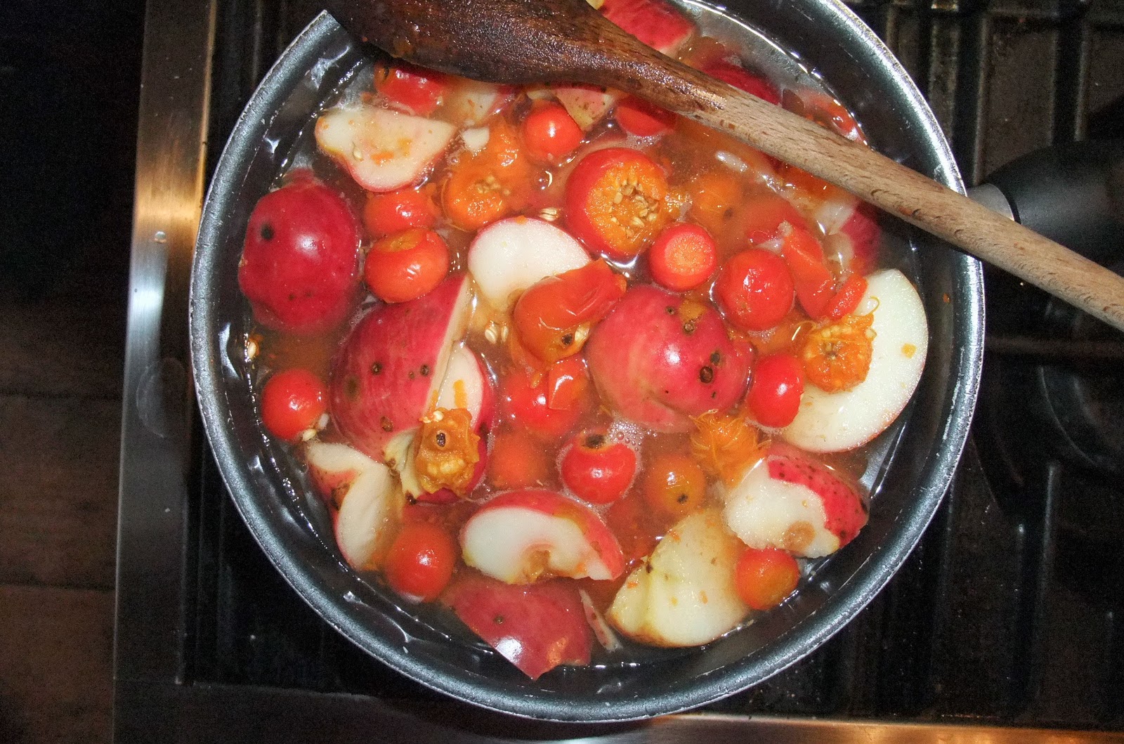 Preserved and Pickled: ROSE HIP JELLY
