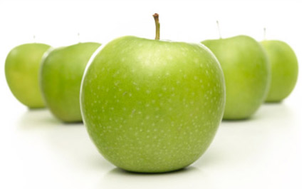 Adam's Digital Photo Blog: Types of Perspective in Photography