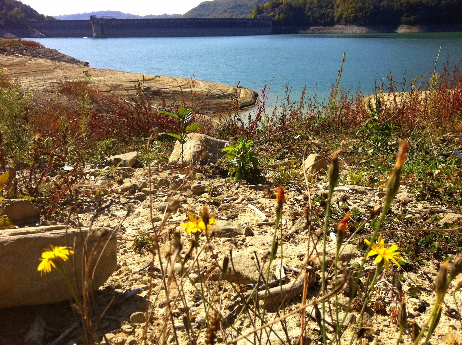 ALPINIADA: Lacul Paltinu - Valea Doftanei