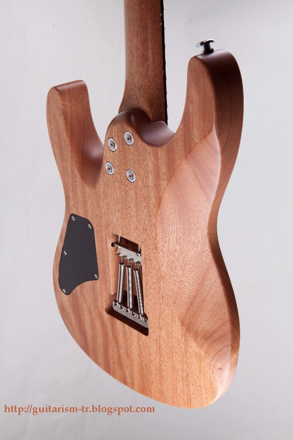 Rasmus Guthrie Govan Model