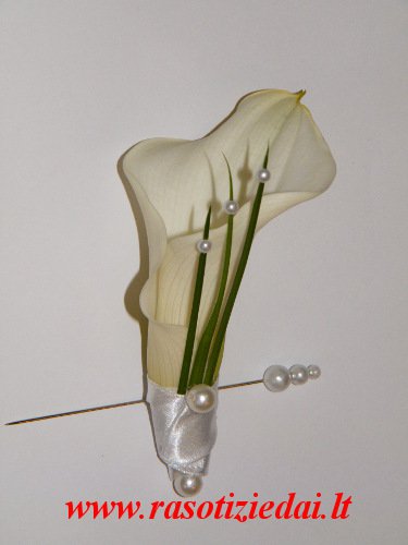 Liudvikos skrynia: Kalijos