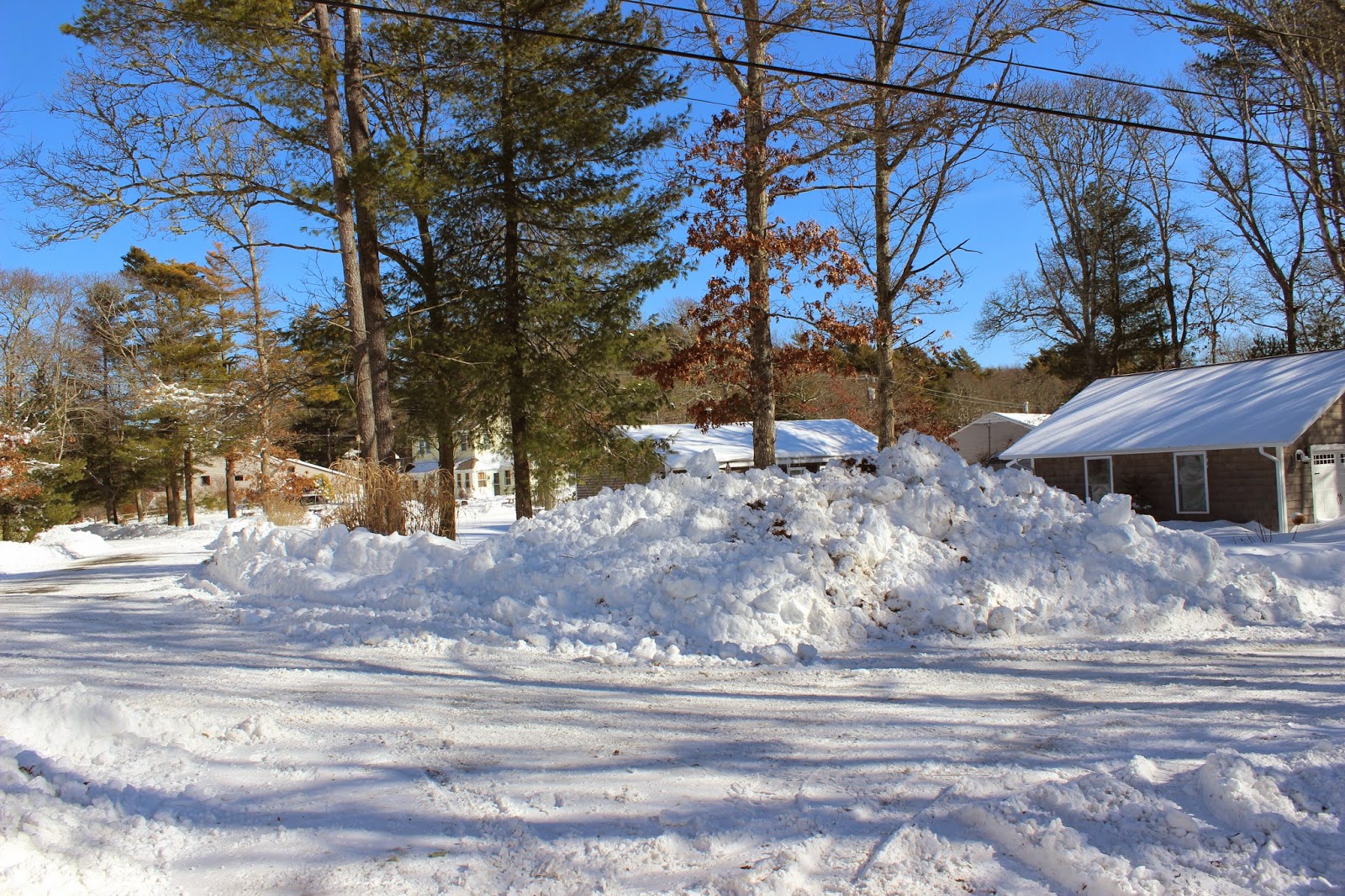 Tahoma Beadworks & Photography: "Blizzards" Bay