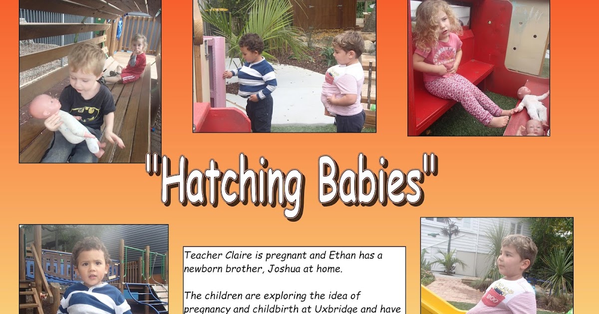 Uxbridge Early Learning Centre Blog: Hatching Babies!!