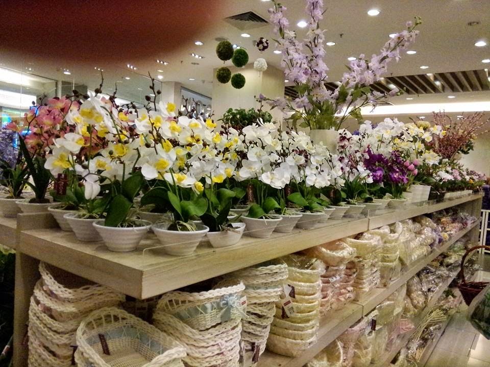 Everything Was Planned ::..: .:: KAISON oh KAISON