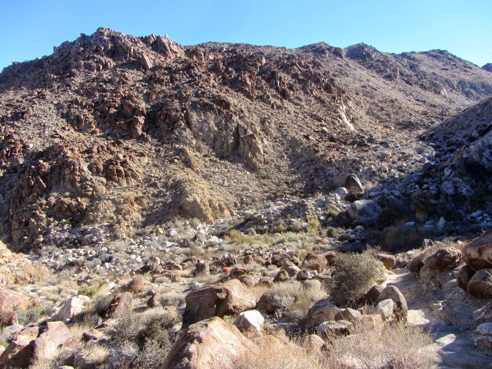 Dan's Hiking Blog: Joshua Tree - 49 Palms Oasis - December 29, 2014