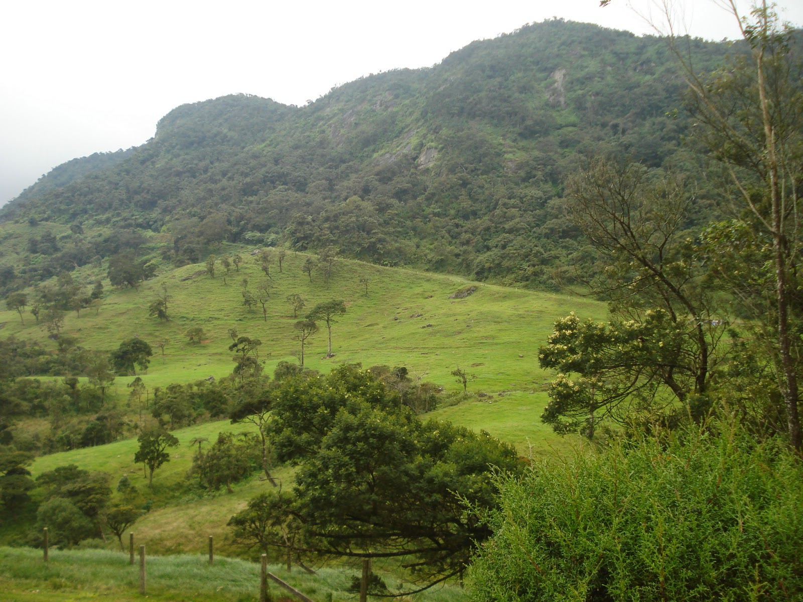 Ambewela - Sri Lanka - Land Of Ceylon