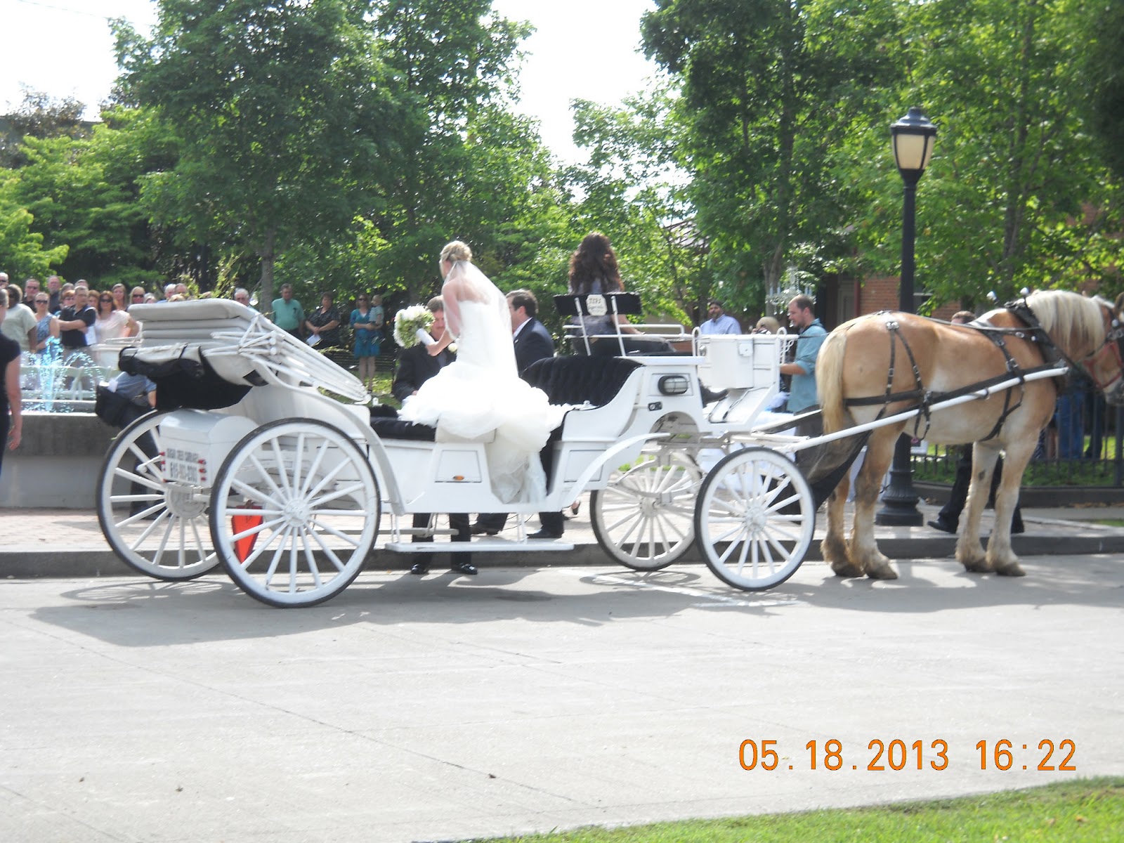 Sugar Creek Carriages: Horse Drawn Wedding Carriage