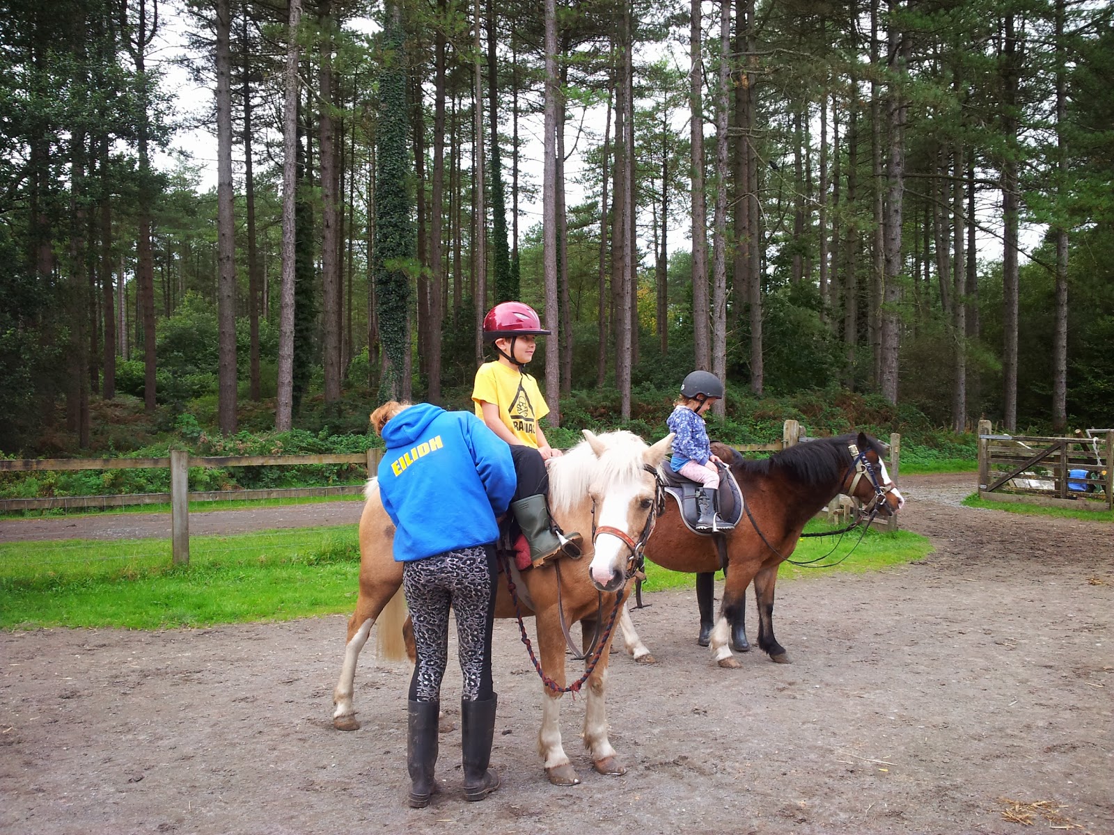 Pony Riding at Pembrey Country Park #CountryKids - Diary of the Evans ...