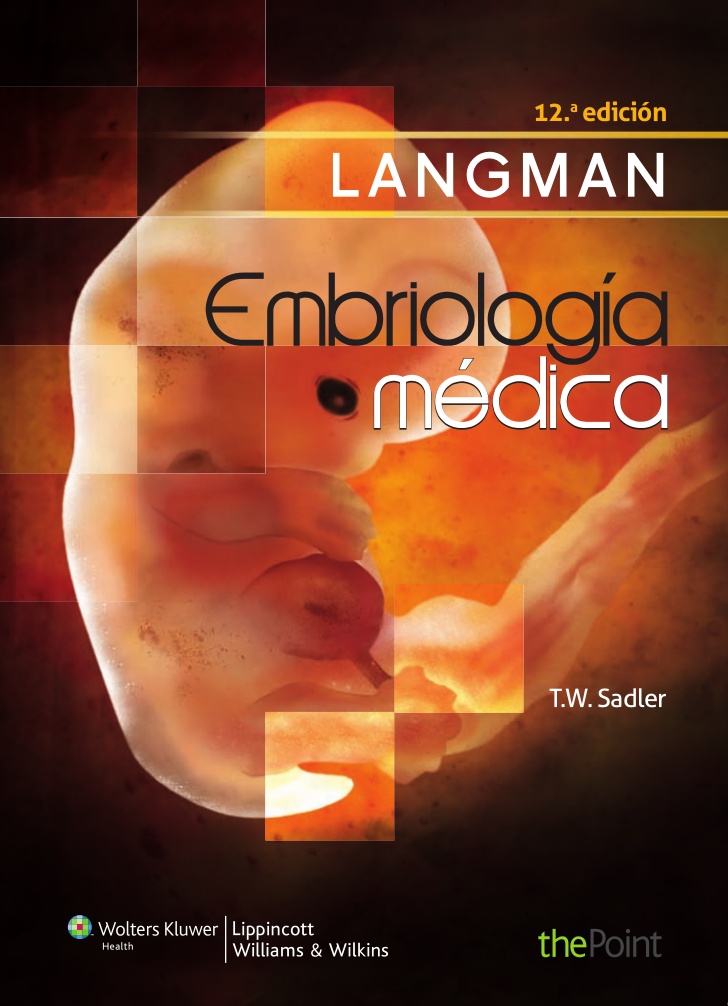 EMBRIOLOGÍA MÉDICA- LANGMAN- 12ª EDICION - medical