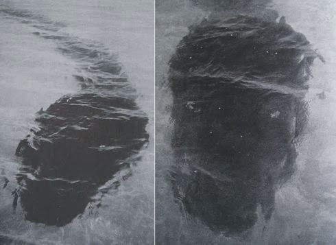 15 Modern Sea Monsters, Photos And Video | Beyond Science | Before It's ...