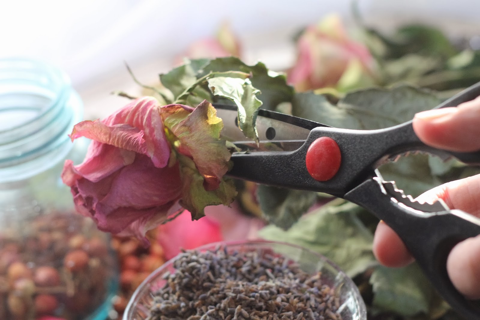 Where Your Treasure Is: Rose Potpourri