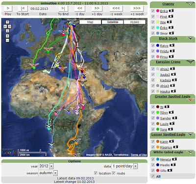 Estonian Nature Tours: Migration Map News – Summary of Autumn Migration