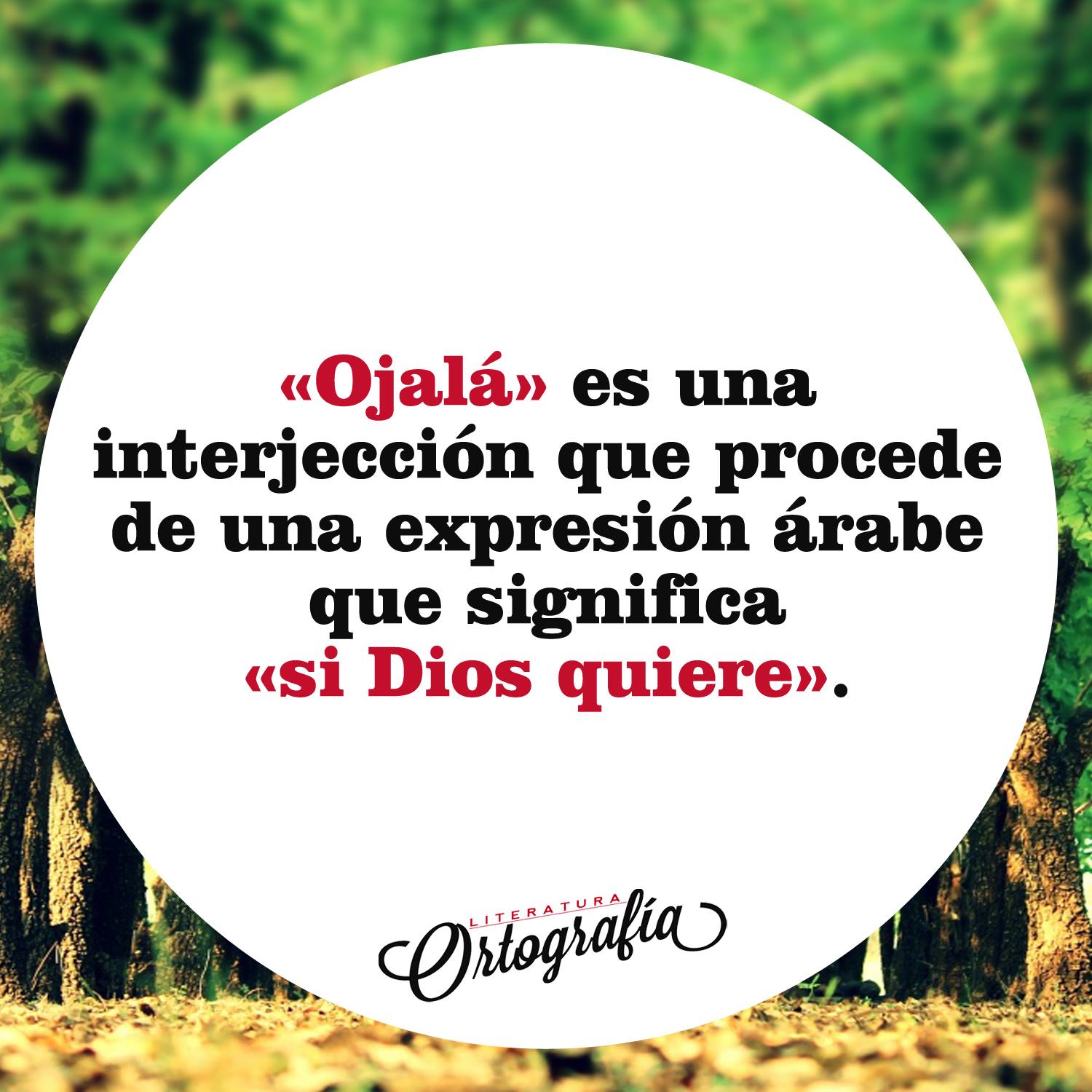 Palabras cotidianas: marzo 2016