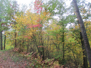 Ziplining Across the USA: Saturday October 5 Snow Snake Resort Zipline